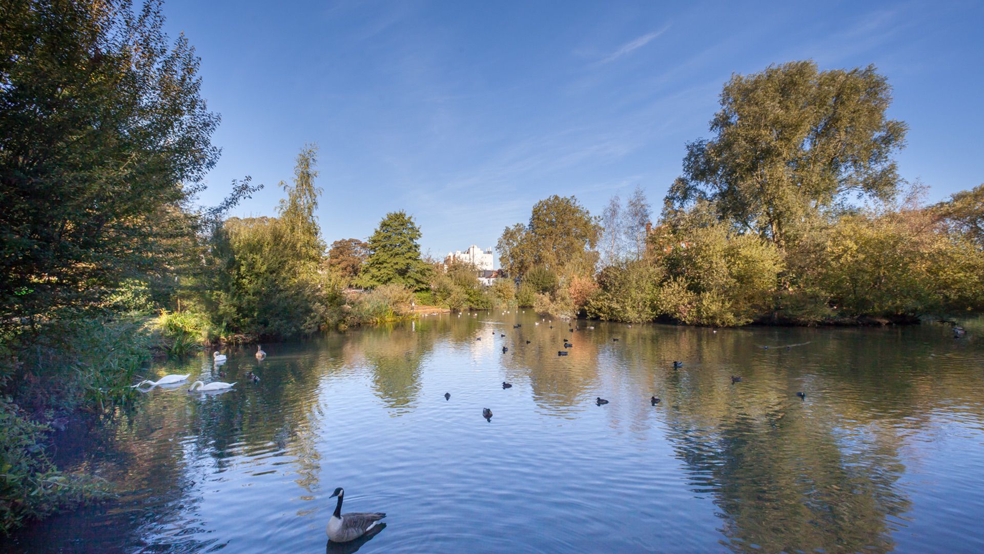 Barnes - The London Resolution